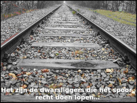 Dwarsliggers houden de trein op de rails. | Oneliners op www.one-liners.nl