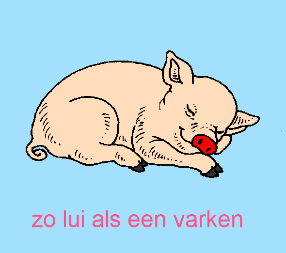 Zo lui zijn als een varken .= Vreselijk lui zijn. | Oneliners op www ...