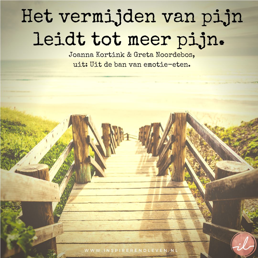 Het vermijden van problemen die je aan moet gaan, is het vermijden van ...