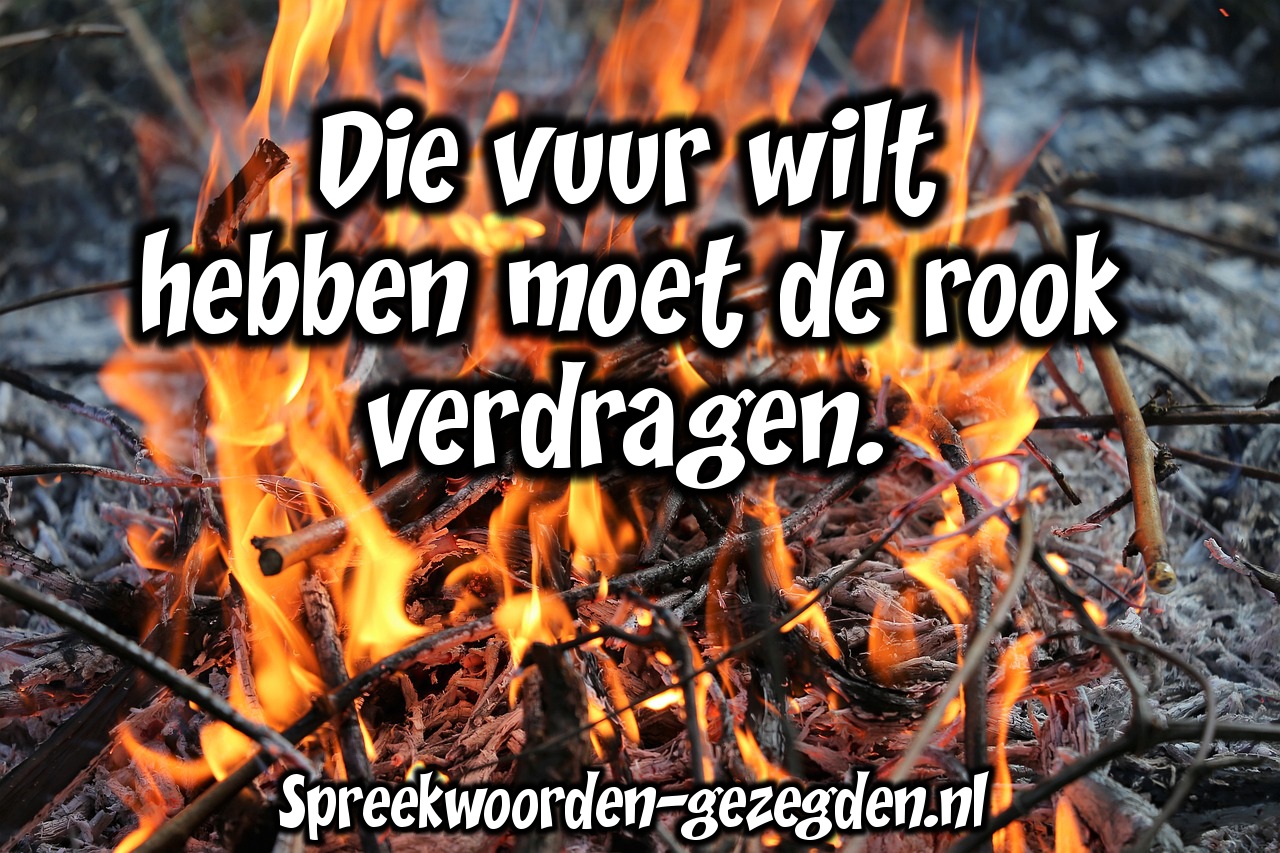 Geen rook zonder vuur.=Er is iets van waar. | Oneliners op www.one ...