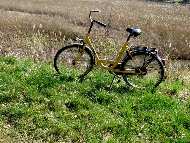 Op een oude fiets moet je het leren.=Oudere (getrouwde) vrouwen zijn goed om jonge mannen in de ...