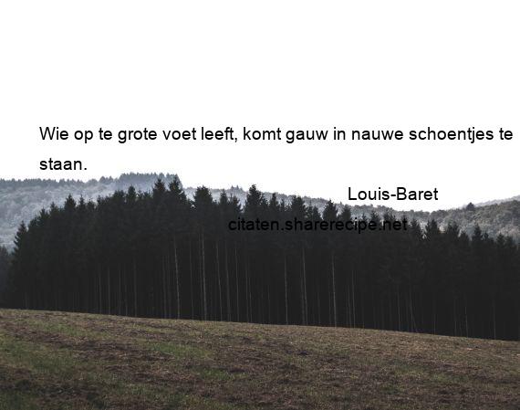 Wie op te grote voet leeft, komt gauw in nauwe schoentjes te staan ...